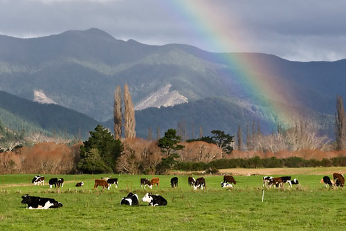 Rai Valley | Marlborough places | Te Ara Encyclopedia of New Zealand