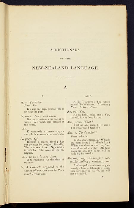 Tapu Maori Dictionary