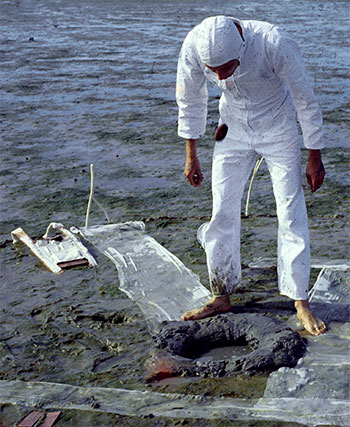Post-object and conceptual art | Te Ara Encyclopedia of New Zealand