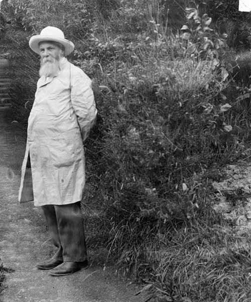 Robert Stout in his garden | Stout, Robert | Dictionary of New Zealand ...