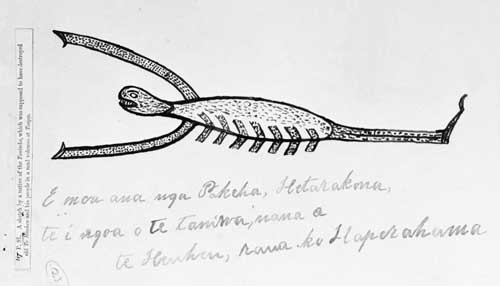 'He tarakona' | Taniwha | Te Ara Encyclopedia of New Zealand