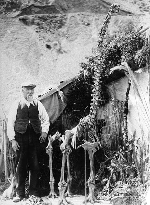 A fanciful moa | Moa | Te Ara Encyclopedia of New Zealand
