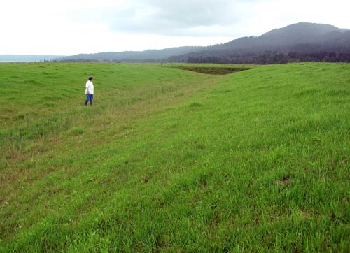 Hump-and-hollow pasture | Soils and regional land use | Te Ara ...