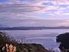 Greenstone adze | Canoe traditions | Te Ara Encyclopedia of New Zealand