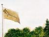 Opening of the wharenui Raukawa | Ngā haki – Māori and flags | Te Ara ...