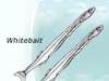 Eel life cycle | Freshwater fish | Te Ara Encyclopedia of New Zealand